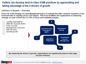 Key Account Management: How to Manage Large Global Accounts? | flevy ...