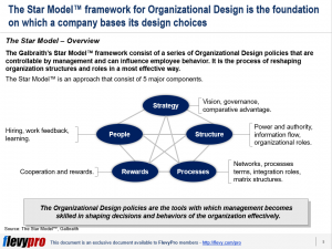 Developing an Organizational Design that Works: The Galbraith Star Model