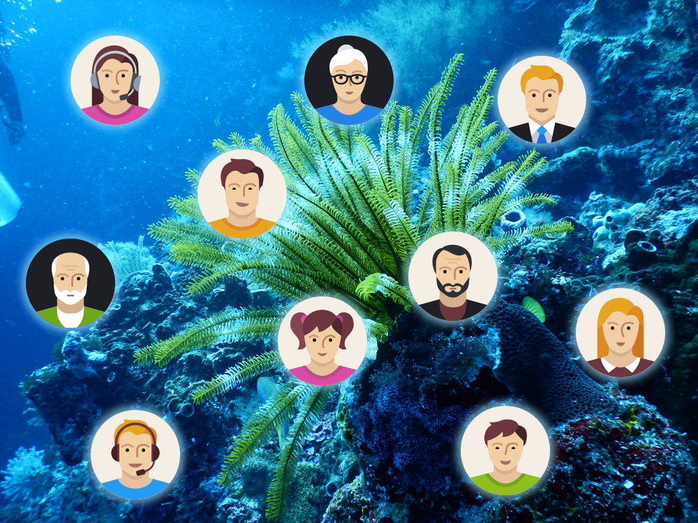 The Human Resources (HR) Ecosystem