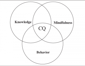 Challenge Day 23: The Benefits of Cultural Intelligence