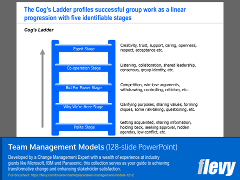 Team Management Models PPT
