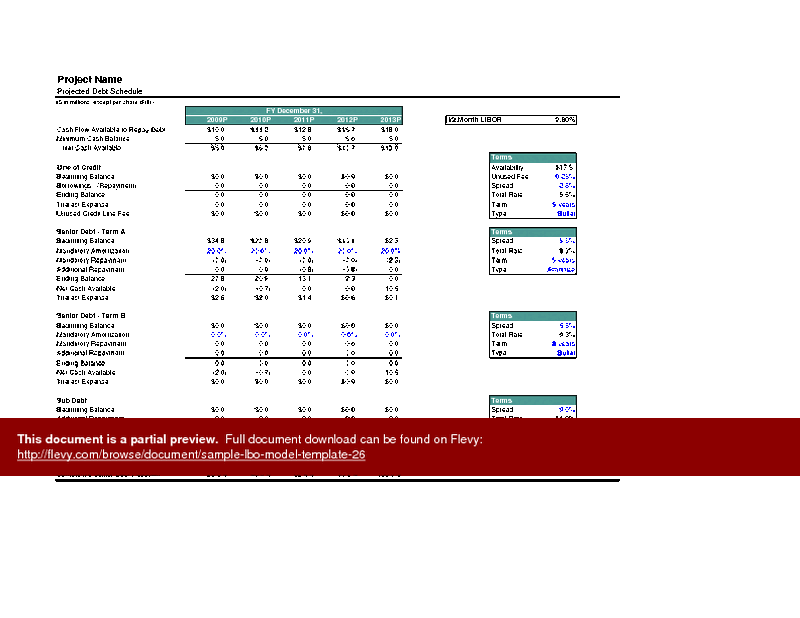 Leverage Buyout Model Template Excel XLS