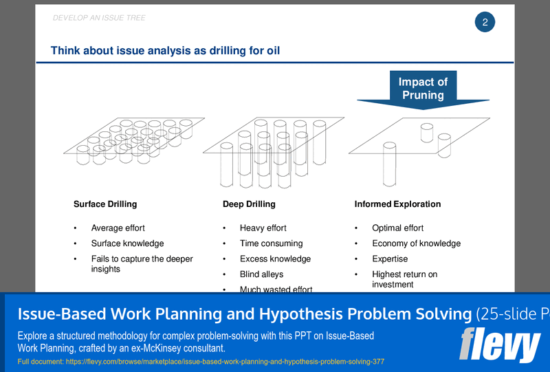 Issue-Based Work Planning and Hypothesis Problem Solving PPT