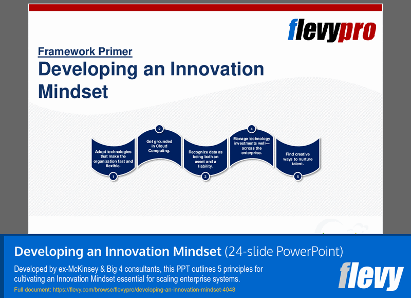 Developing an Innovation Mindset PPT