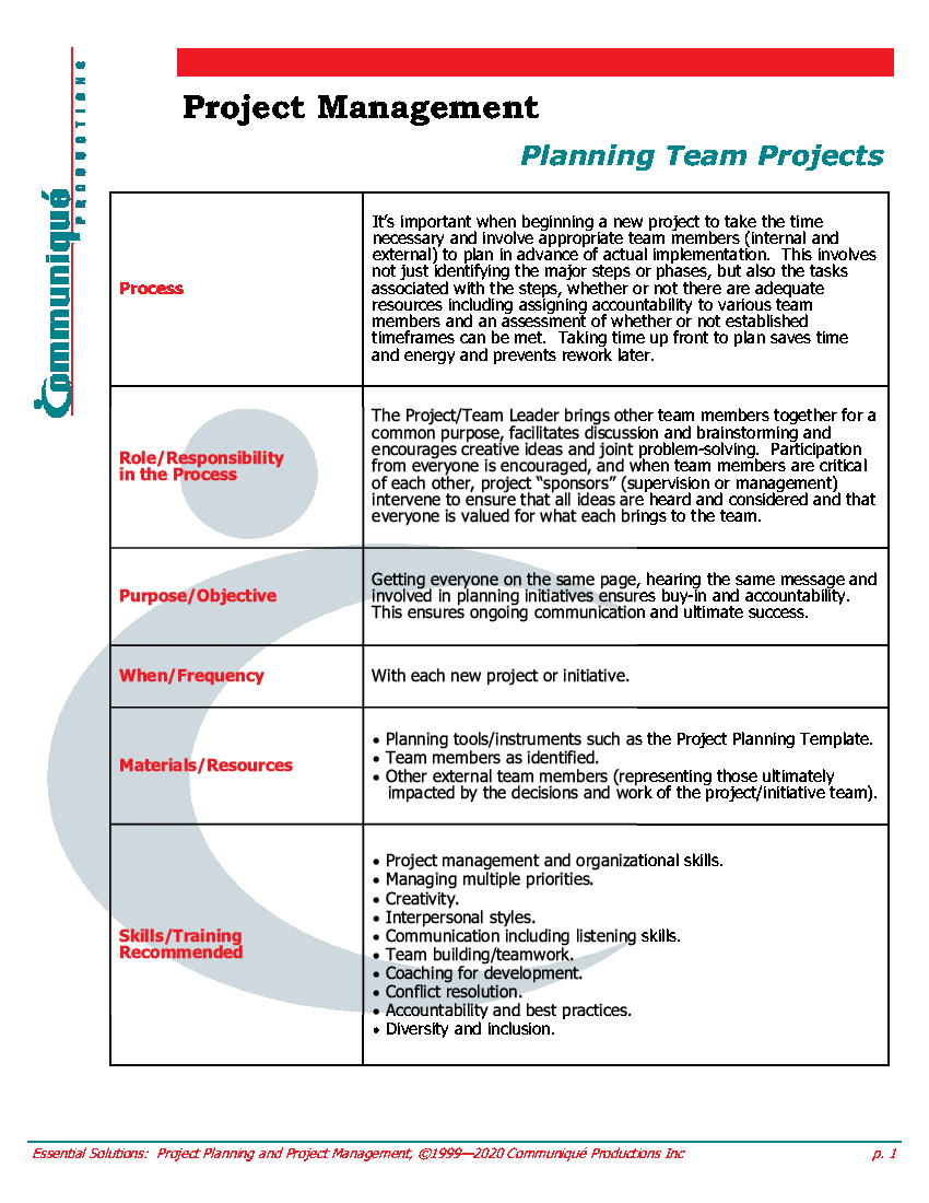 Planning Team Projects Guidelines And Template 9 page PDF Document 