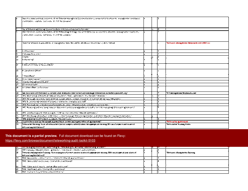 Teleworking Audit Toolkit Template Excel XLS