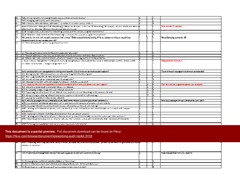 Teleworking Audit Toolkit Template Excel XLS