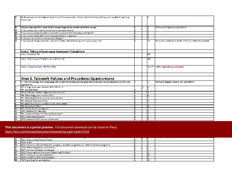 Teleworking Audit Toolkit Template Excel XLS