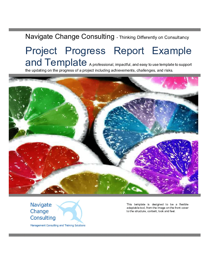 This Is A Partial Preview Of Project Progress Report Example And Template Full Document Is 19 