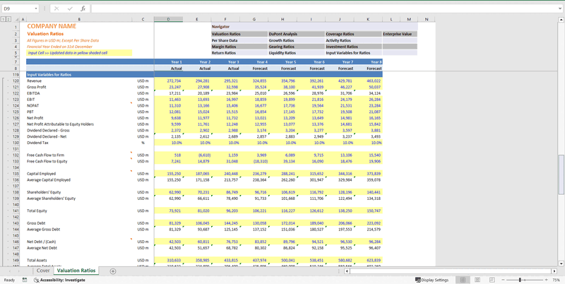 Financial Analysis Template Excel XLS
