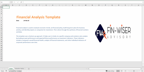 Financial Analysis Template Excel XLS
