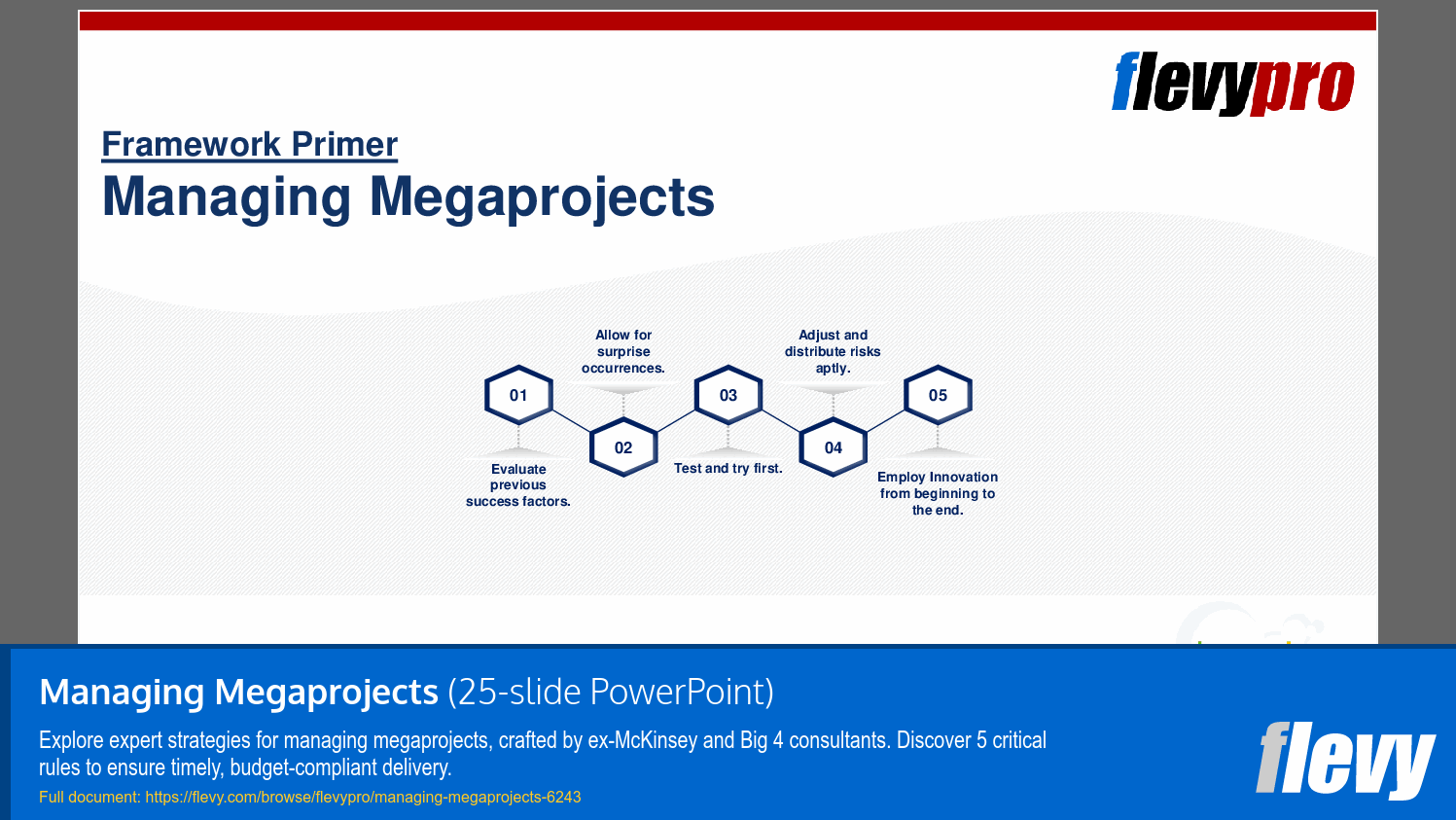 Managing Megaprojects PPT