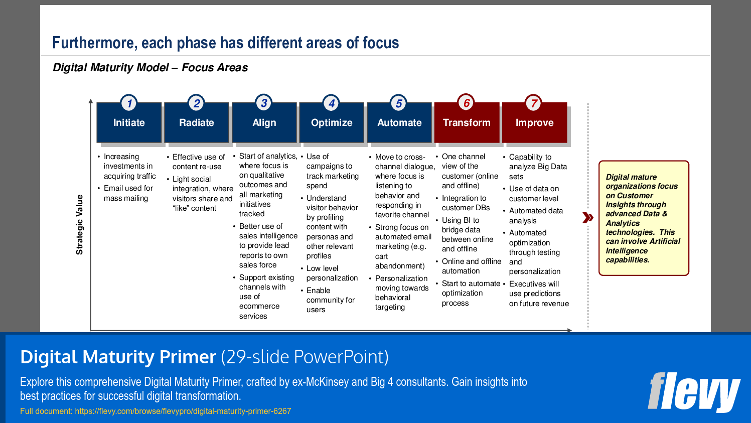 Digital Maturity Primer PPT
