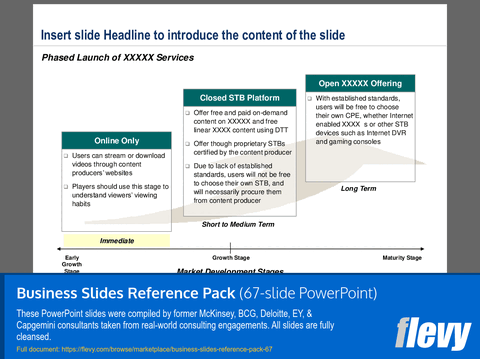 Business Slides Reference Pack PPT