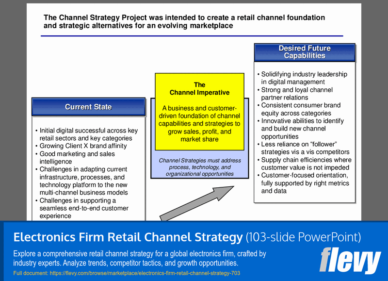 Electronics Firm Retail Channel Strategy PPT