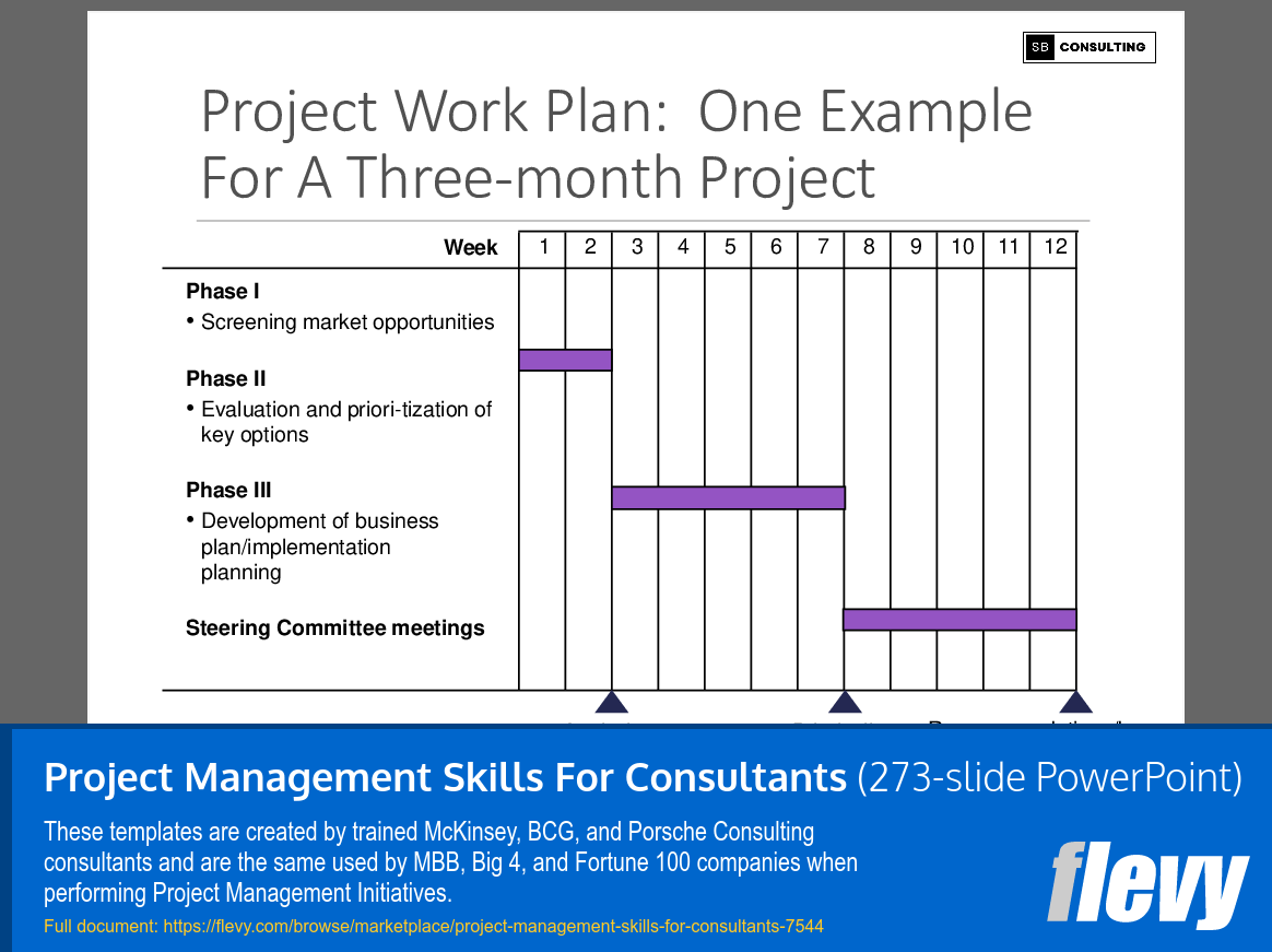 Project Management Skills For Consultants PPT