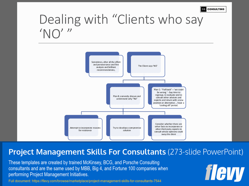 Project Management Skills For Consultants PPT