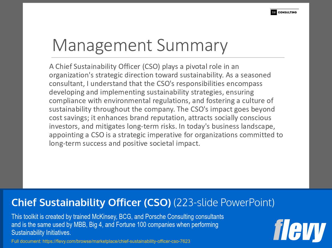 Chief Sustainability Officer (CSO) PPT