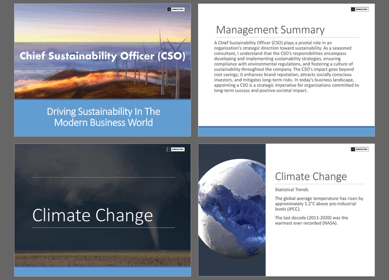 Chief Sustainability Officer (CSO) PPT
