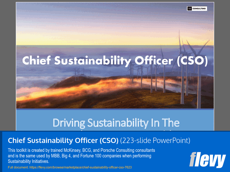 Chief Sustainability Officer (CSO) PPT
