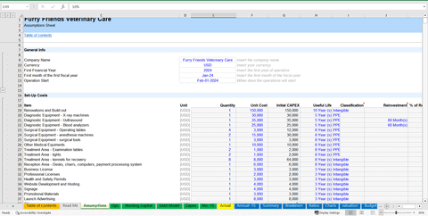 Veterinary Clinic Financial Model and Budget Control Template Excel XLS
