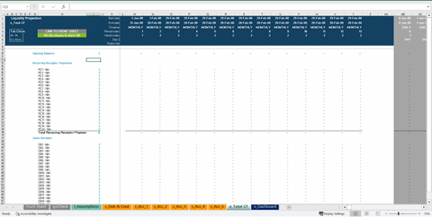 Daily Financial Liquidity Projection Excel Model Template Excel XLS
