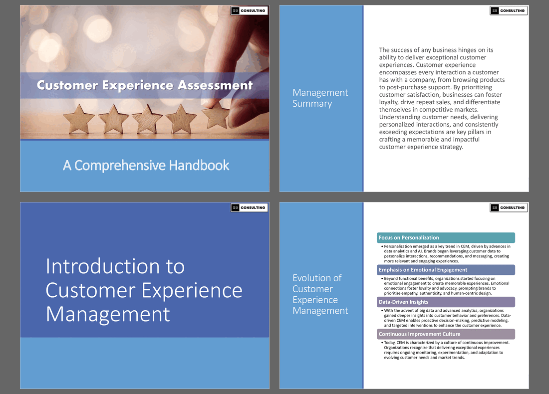 Customer Experience Assessment Handbook PPT