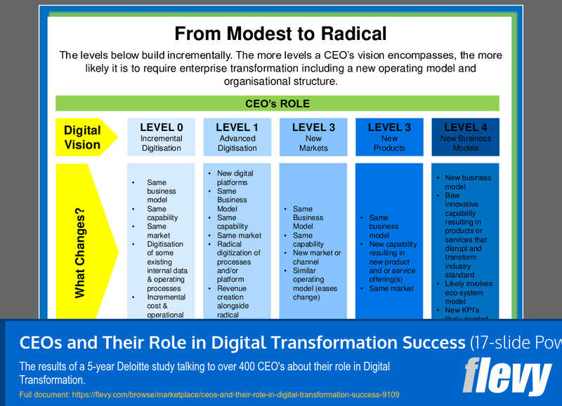 CEOs and Their Role in Digital Transformation Success PPT
